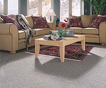 Choose an Interior Area Rug - Betterimprovement.com