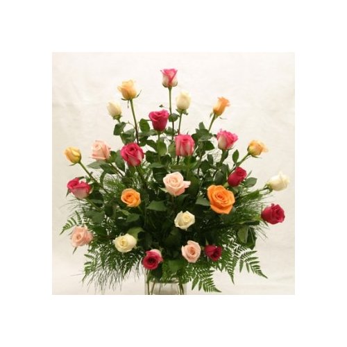 Assorted Color Roses - Betterimprovement.com